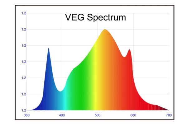 The Science Behind Indoor Plant Lights: Understanding Photosynthesis ...